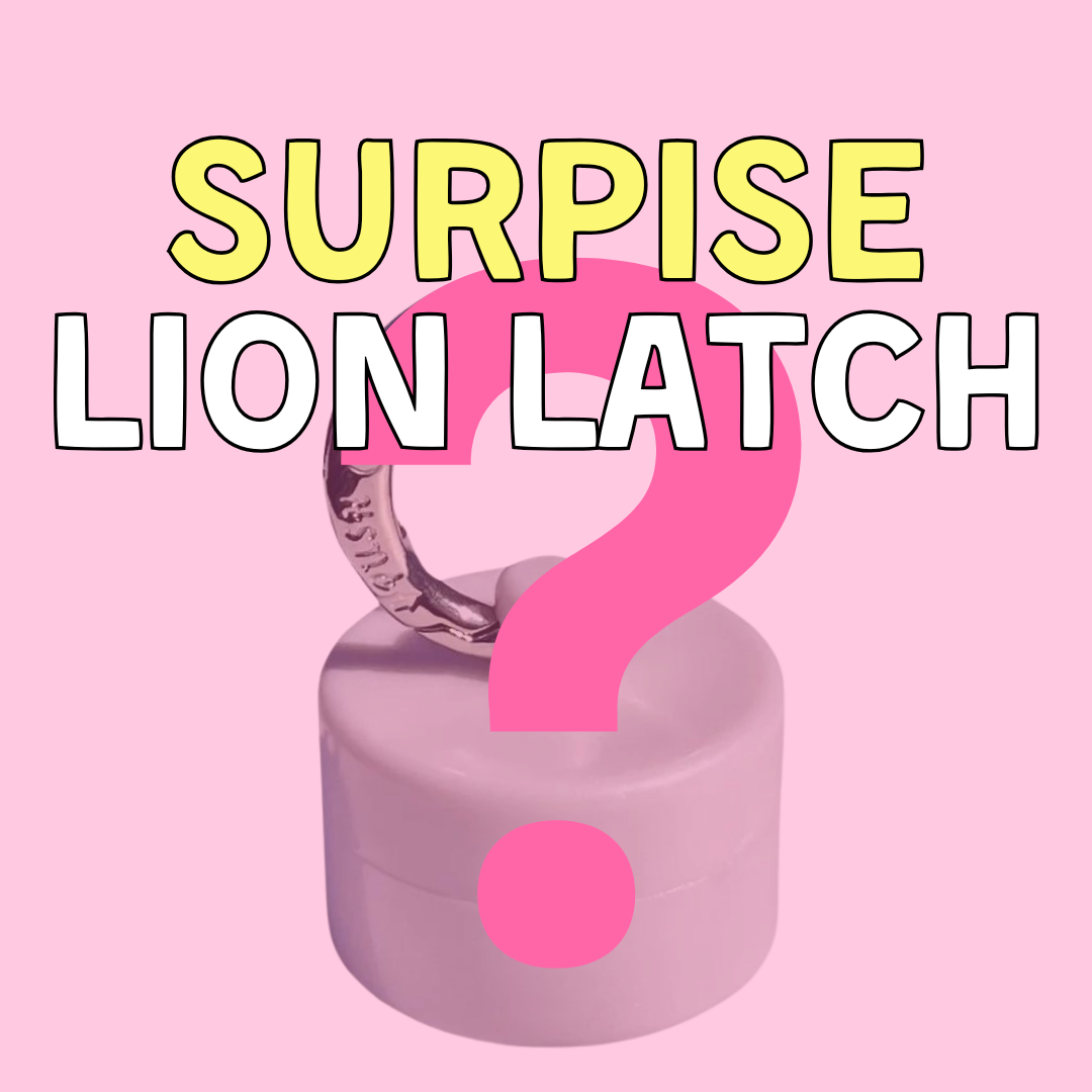 Surprise Travel Jewelry Holder – Lion Latch