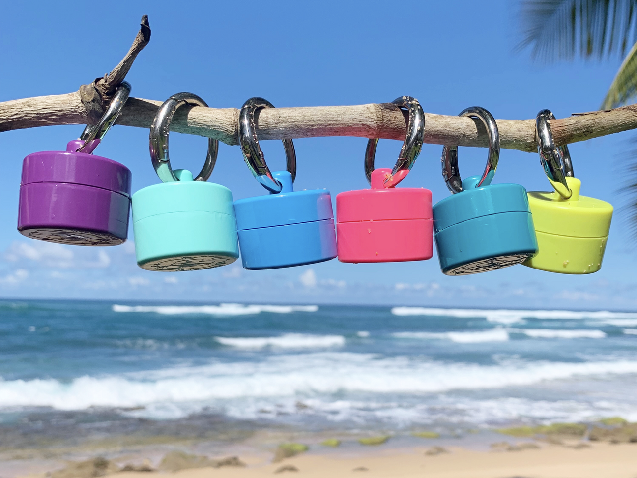 Roar Pack - 10 Lion Latches ALL 10 colors!